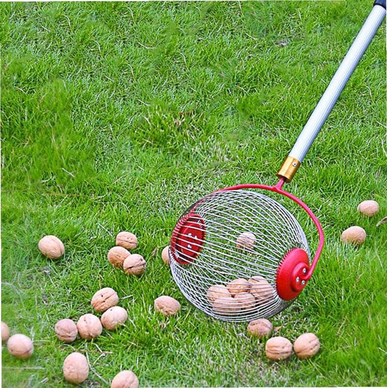Nut Harvester Collector Fruit Ball Picker – Paktec.nz